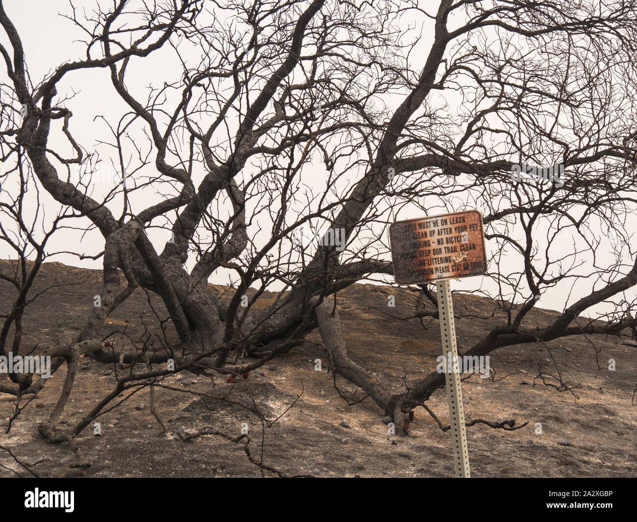 Burnt sign hi-res stock photography and images - Alamy