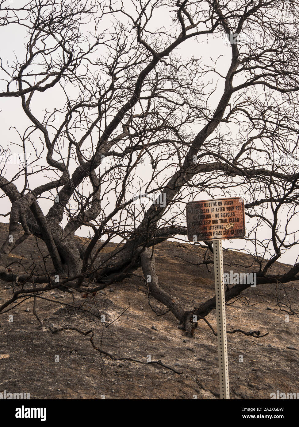 Burnt sign hi-res stock photography and images - Alamy