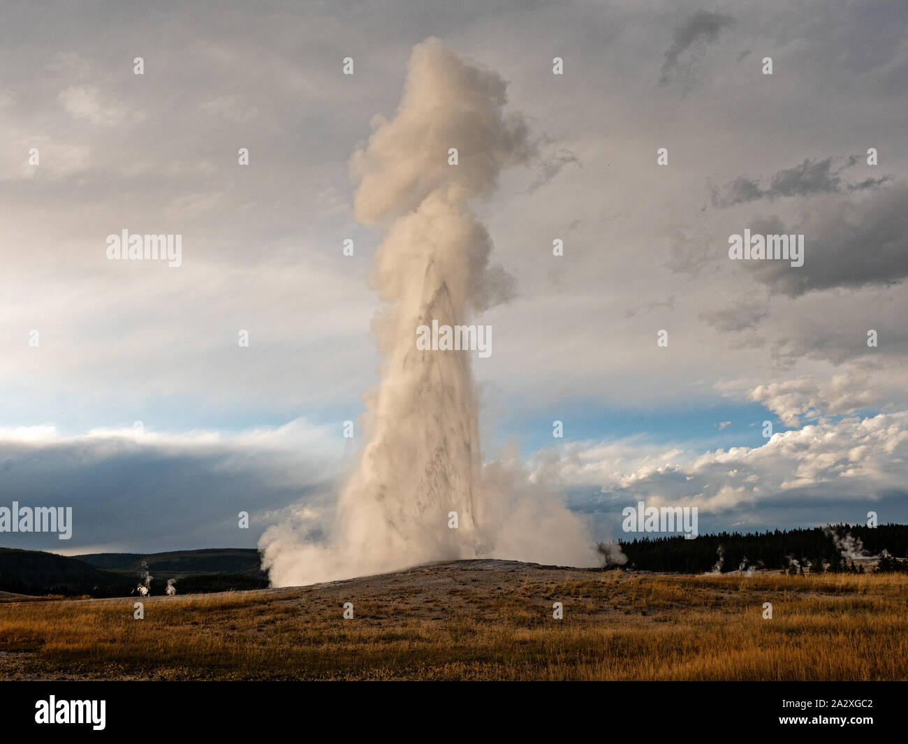 Old Faithful Geyser, Yellowstone National Park, Wyoming Stock Photo - Alamy