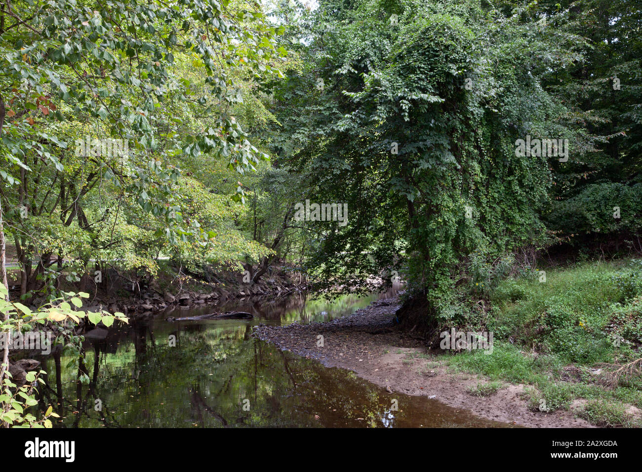 Rock creek park washington wildlife hi-res stock photography and images ...