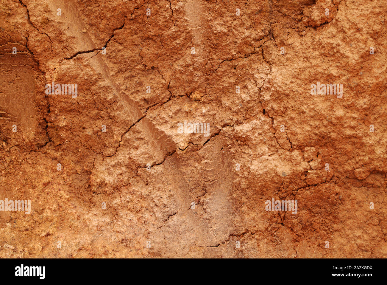 Close up of earth soil texture Stock Photo - Alamy