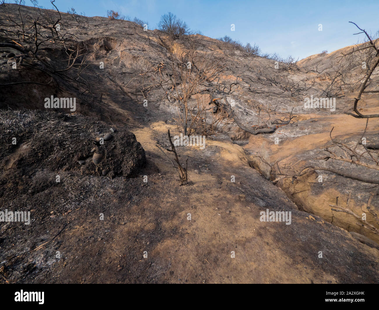 A wide angle view of a burnt and devastated hillside in California ...