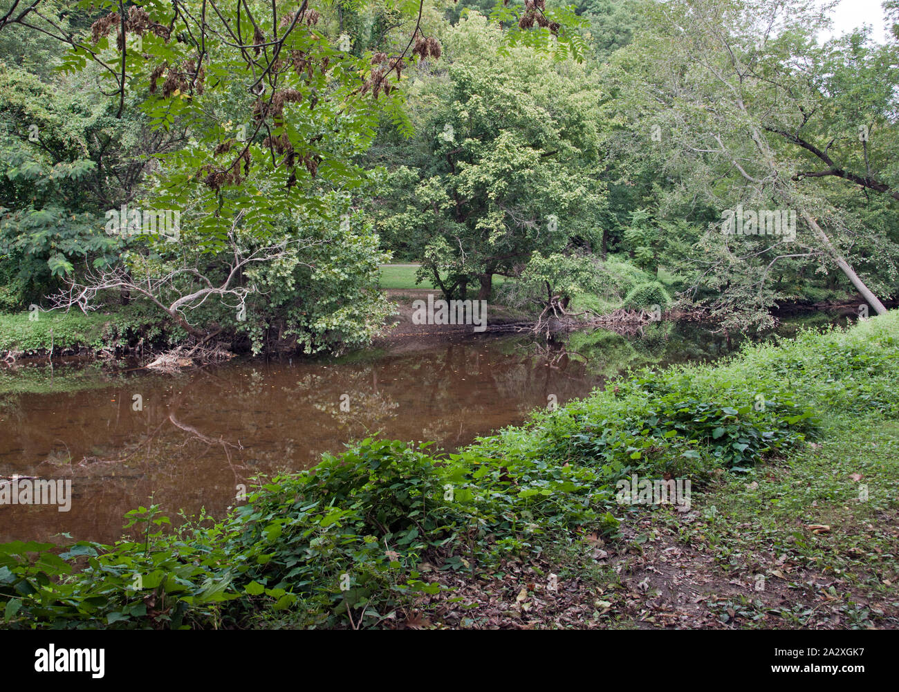 Washington dc rock creek park hi-res stock photography and images - Alamy