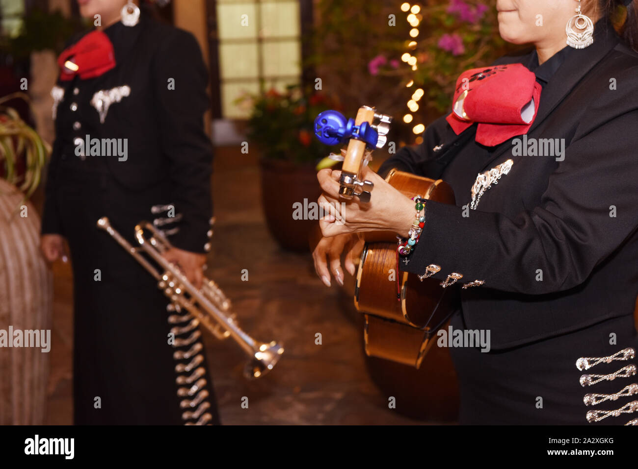 Traditional Mariachi Musician Mexican Singer Stock Photo - Alamy