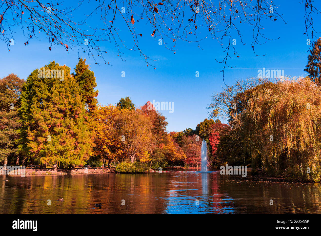 colorful autumn reflecting in the water Stock Photo - Alamy