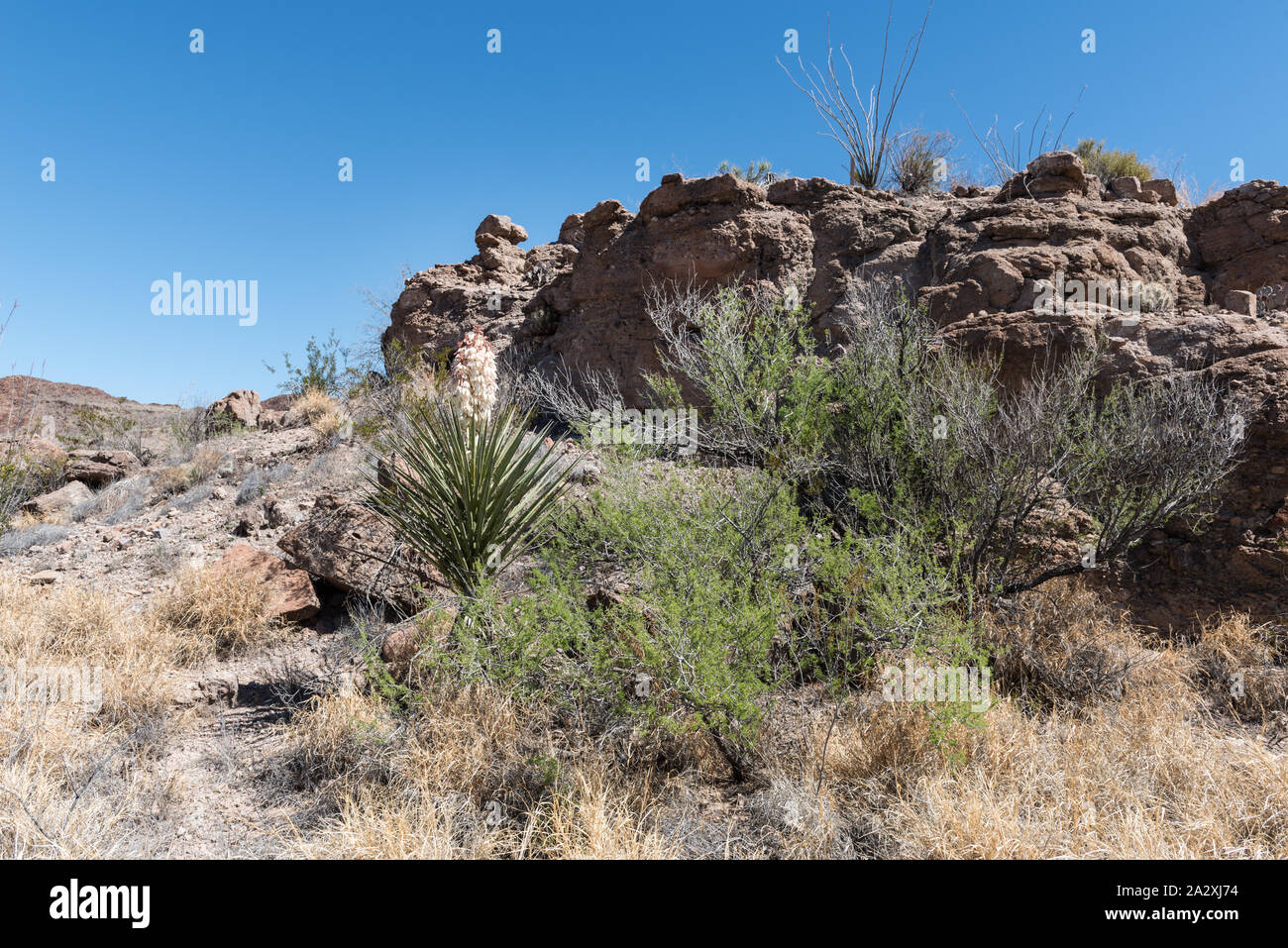 Rocky scene in Big Bend National Park in Brewster County, Texas Stock ...