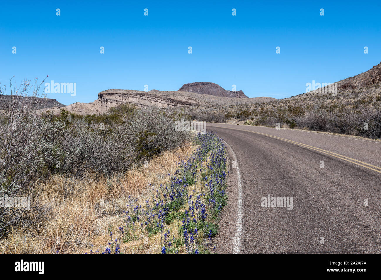 Rocky scene in Big Bend National Park in Brewster County, Texas Stock ...