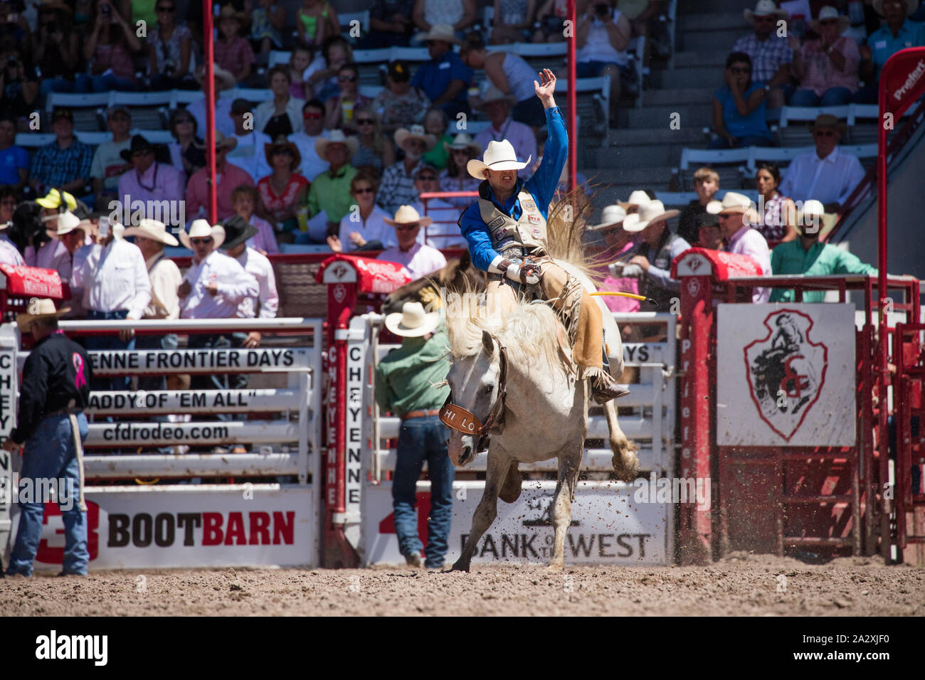 Rodeo action at the Cheyenne Frontier Days celebration in Wyoming's ...