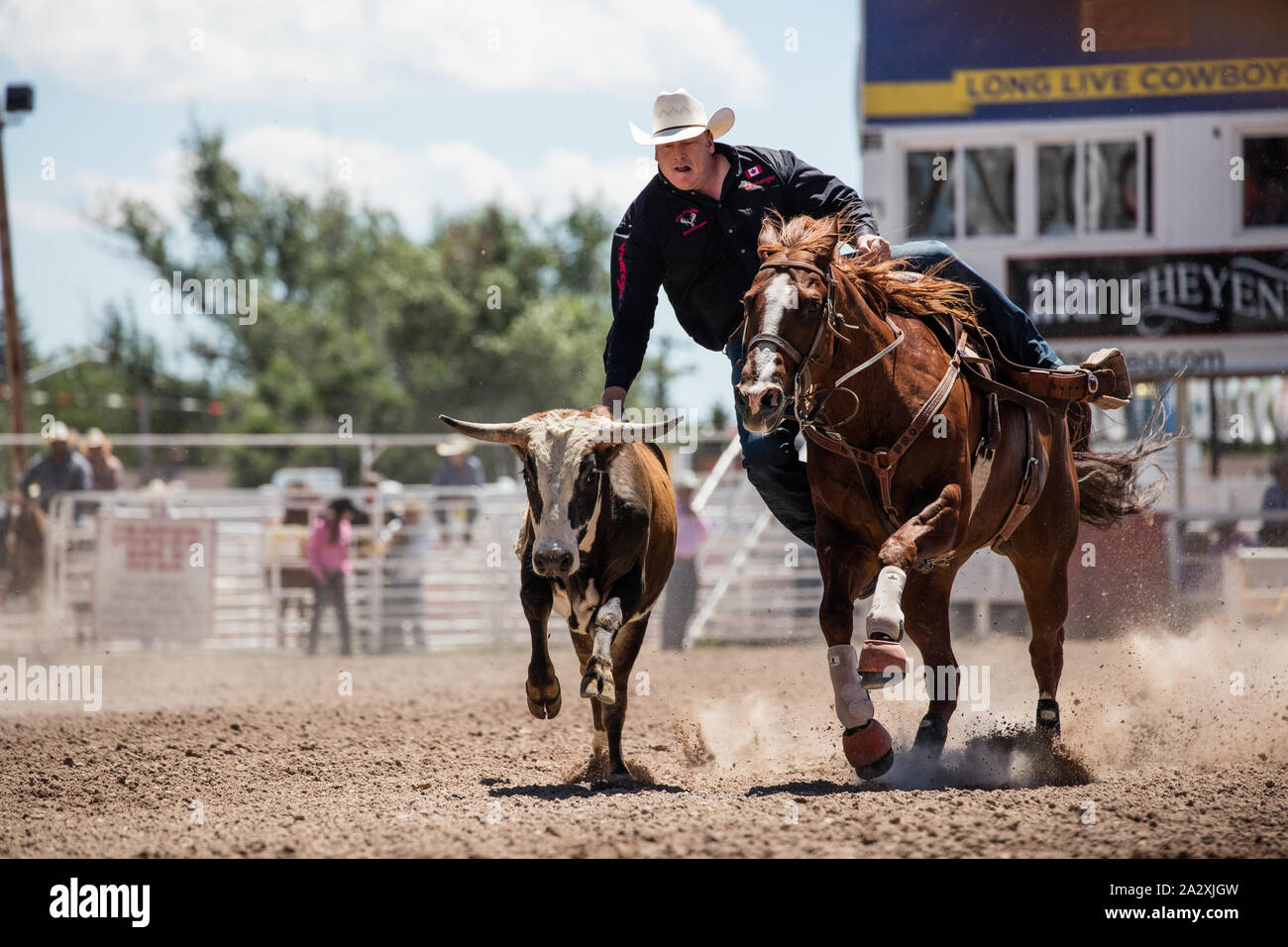 Rodeo action at the Cheyenne Frontier Days celebration in Wyoming's ...