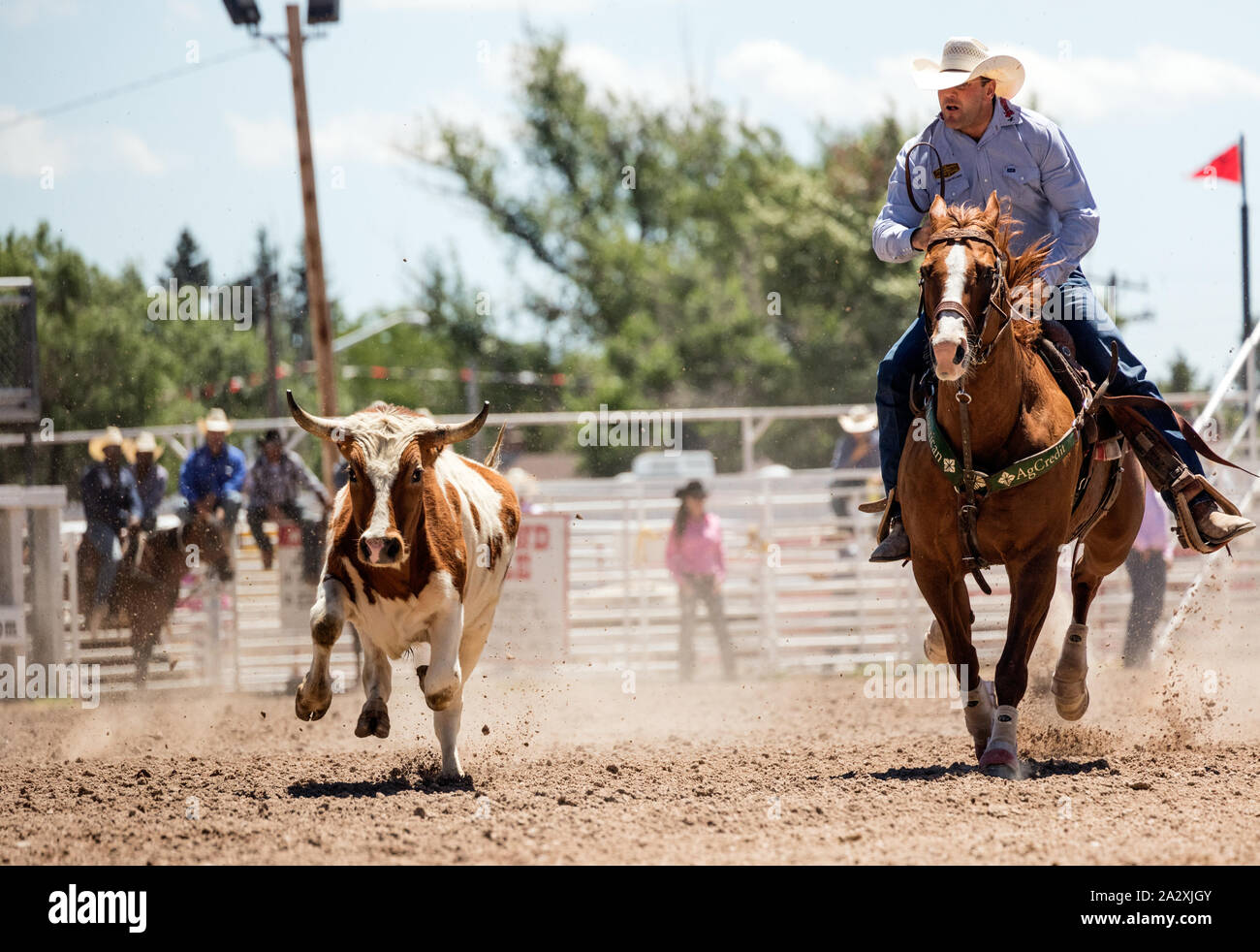 Rodeo action at the Cheyenne Frontier Days celebration in Wyoming's ...