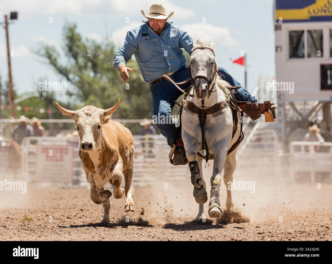 Rodeo action at the Cheyenne Frontier Days celebration in Wyoming's ...