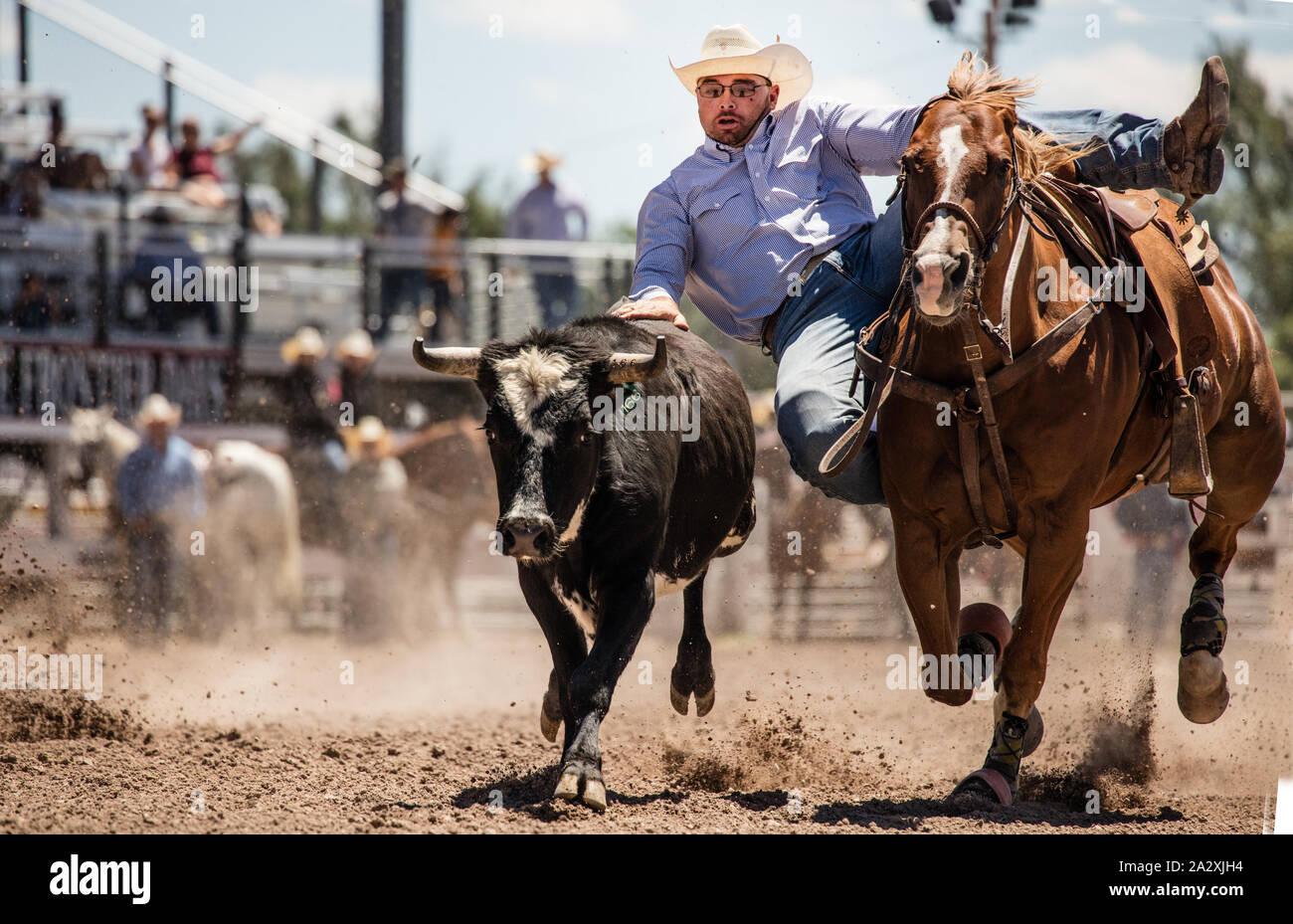 Rodeo action at the Cheyenne Frontier Days celebration in Wyoming's ...