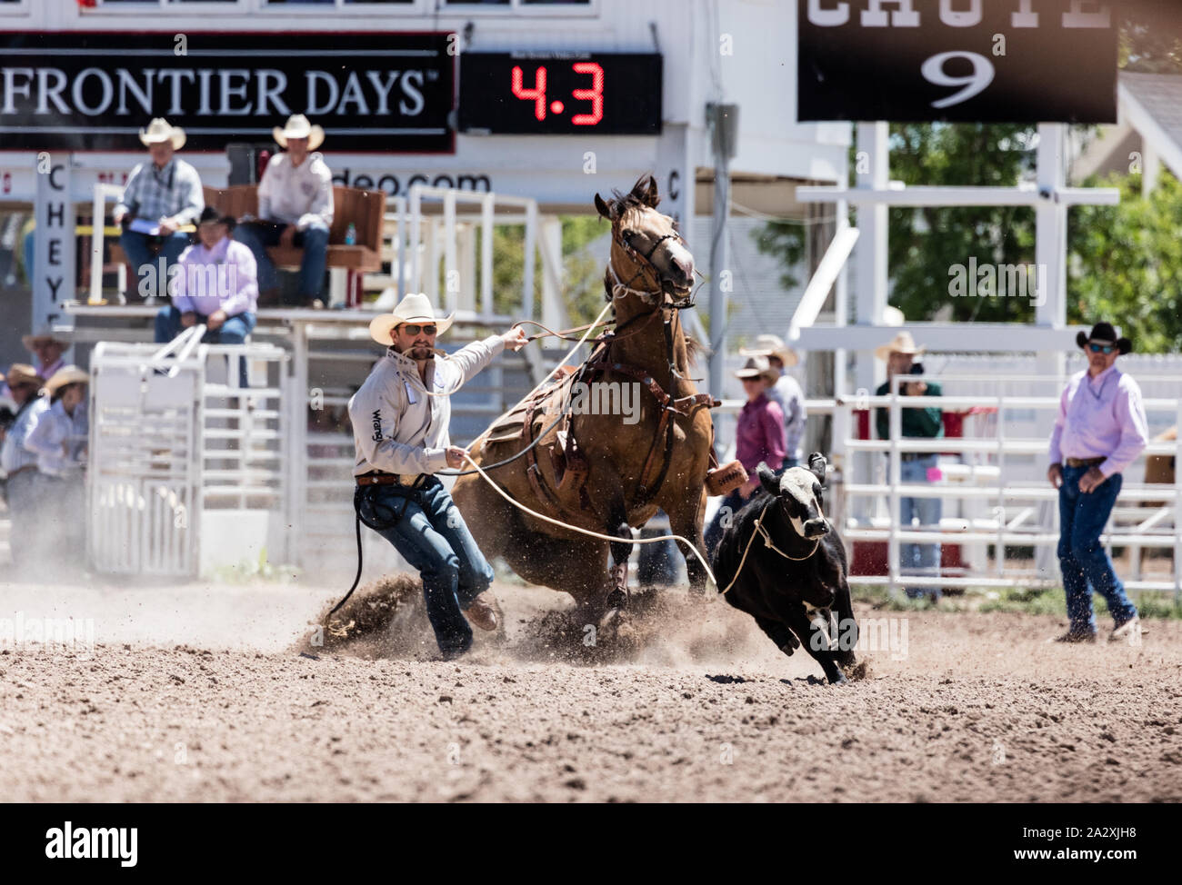Rodeo action at the Cheyenne Frontier Days celebration in Wyoming's ...