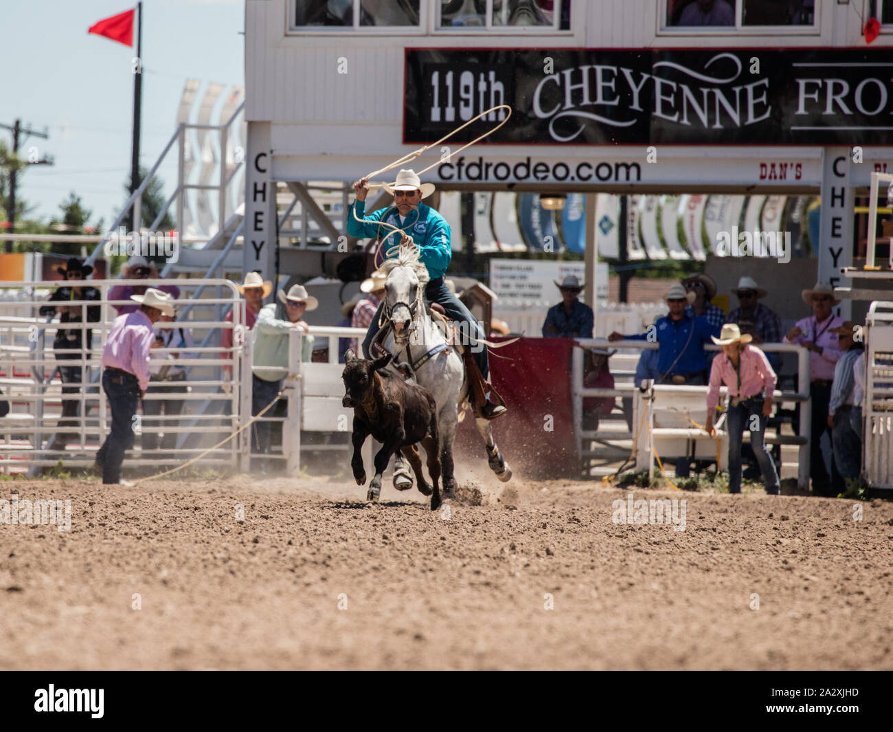 Rodeo action at the Cheyenne Frontier Days celebration in Wyoming's ...
