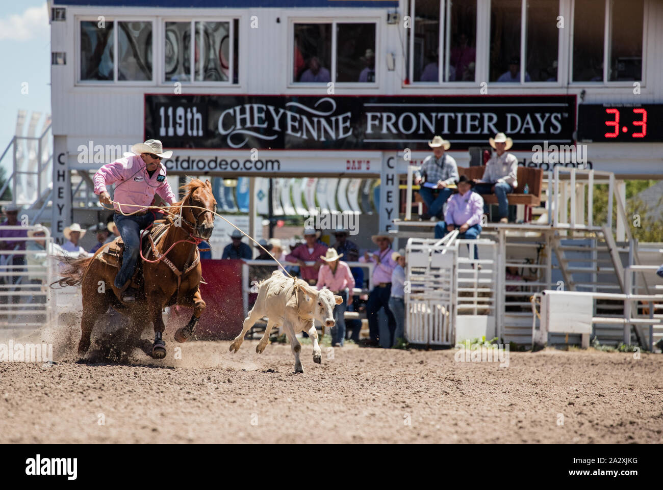 Rodeo action at the Cheyenne Frontier Days celebration in Wyoming's ...