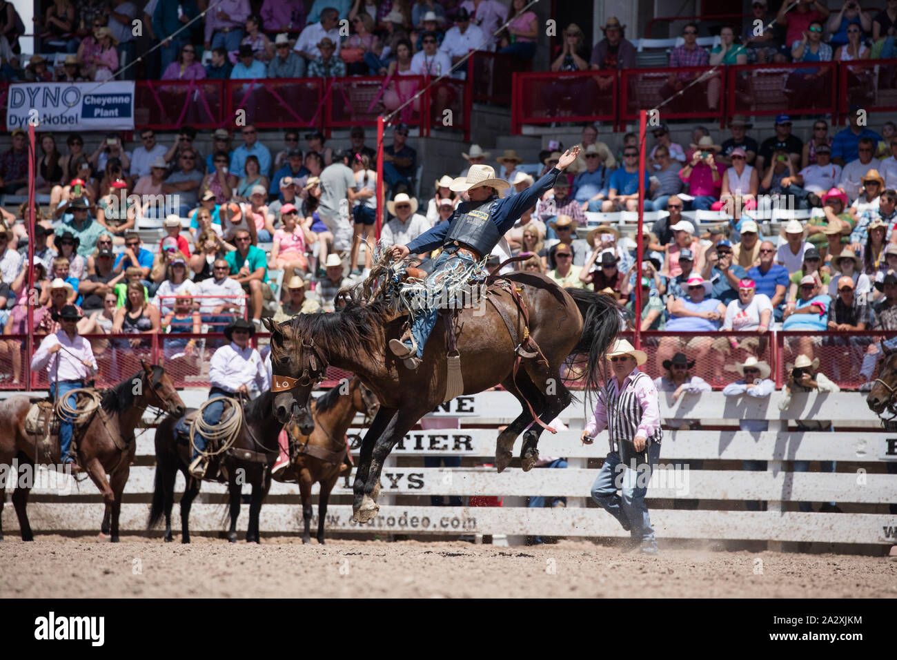 Rodeo action at the Cheyenne Frontier Days celebration in Wyoming's ...