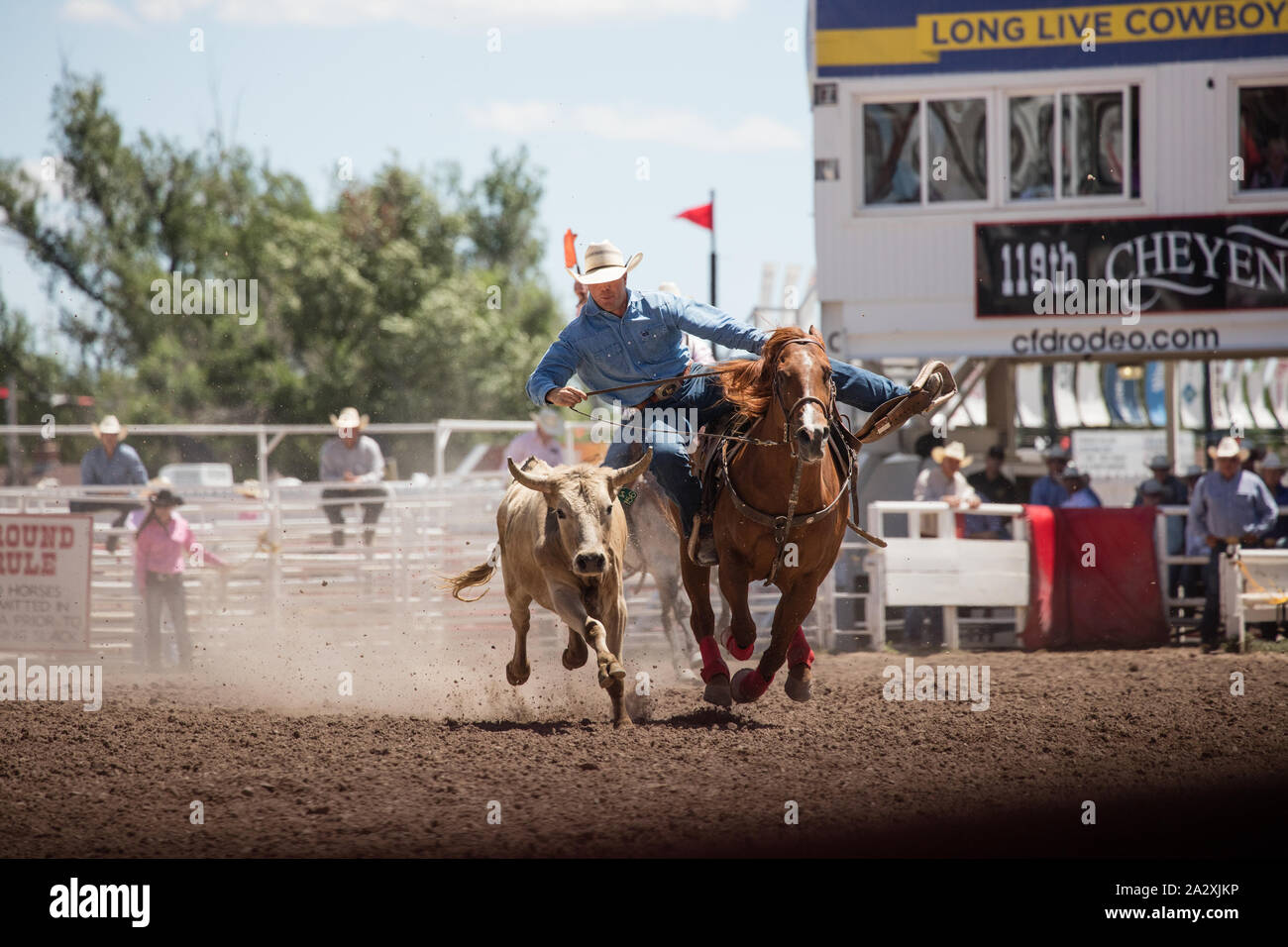 Rodeo action at the Cheyenne Frontier Days celebration in Wyoming's ...