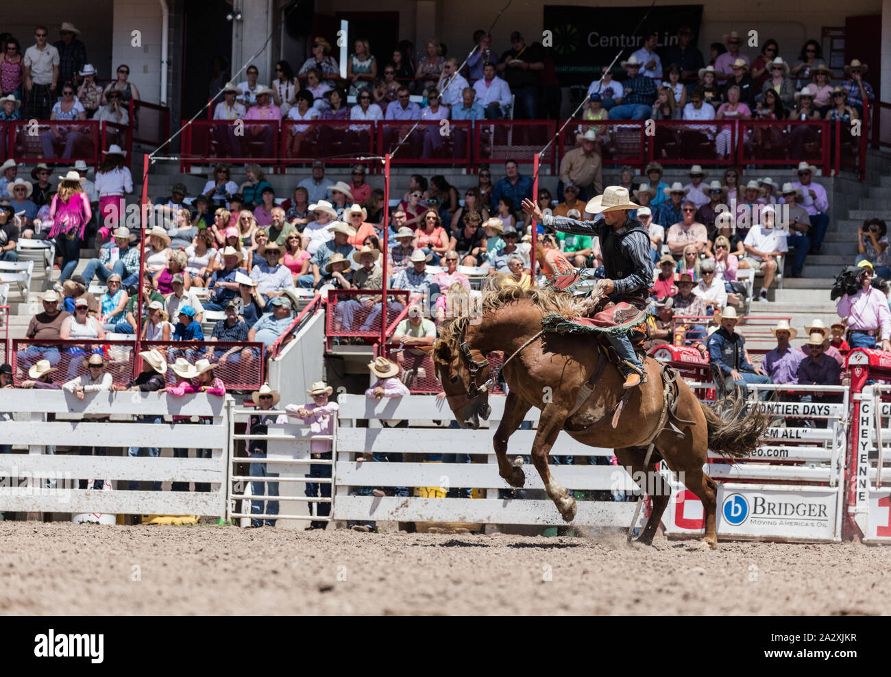 Rodeo action at the Cheyenne Frontier Days celebration in Wyoming's ...