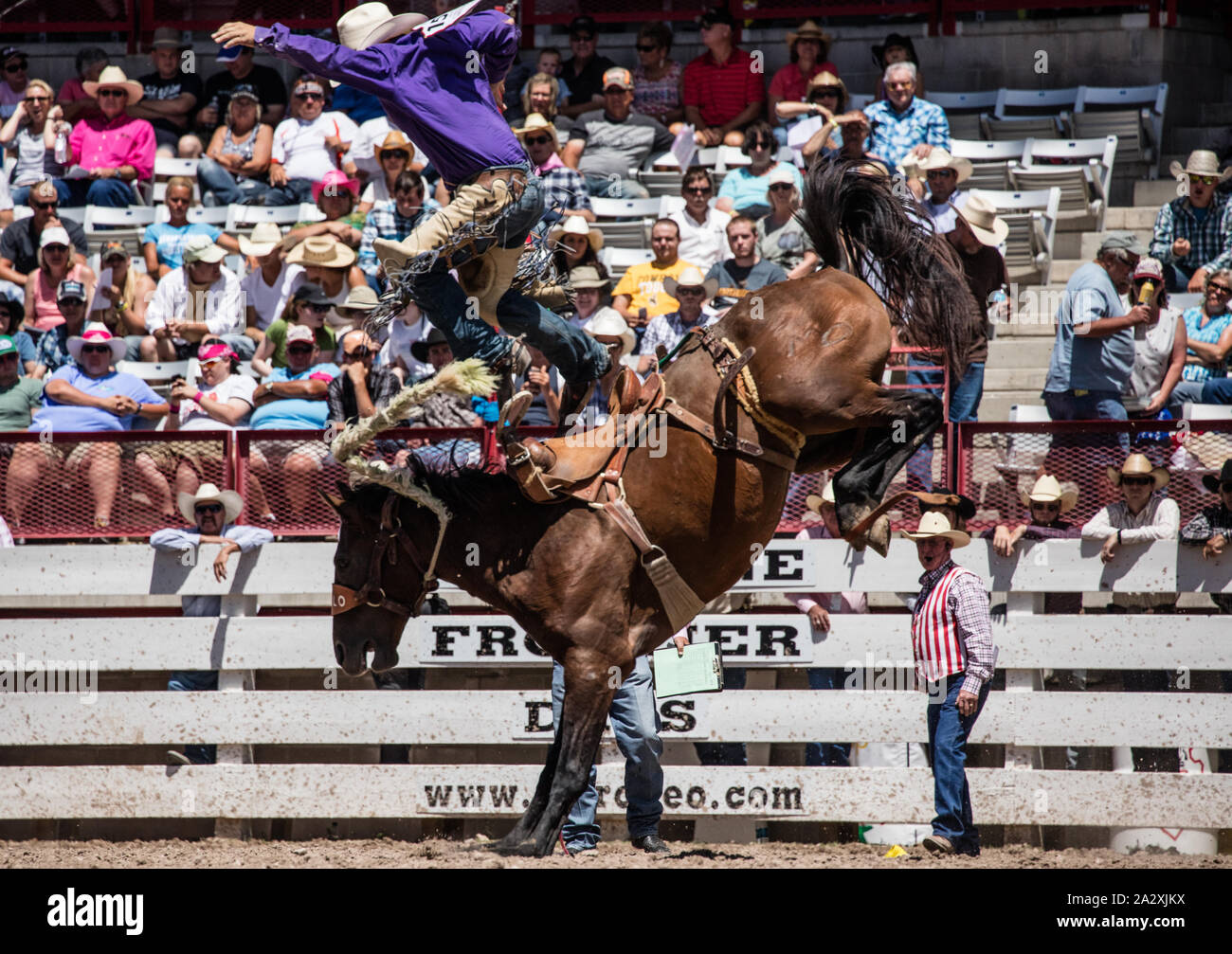 Rodeo action at the Cheyenne Frontier Days celebration in Wyoming's ...