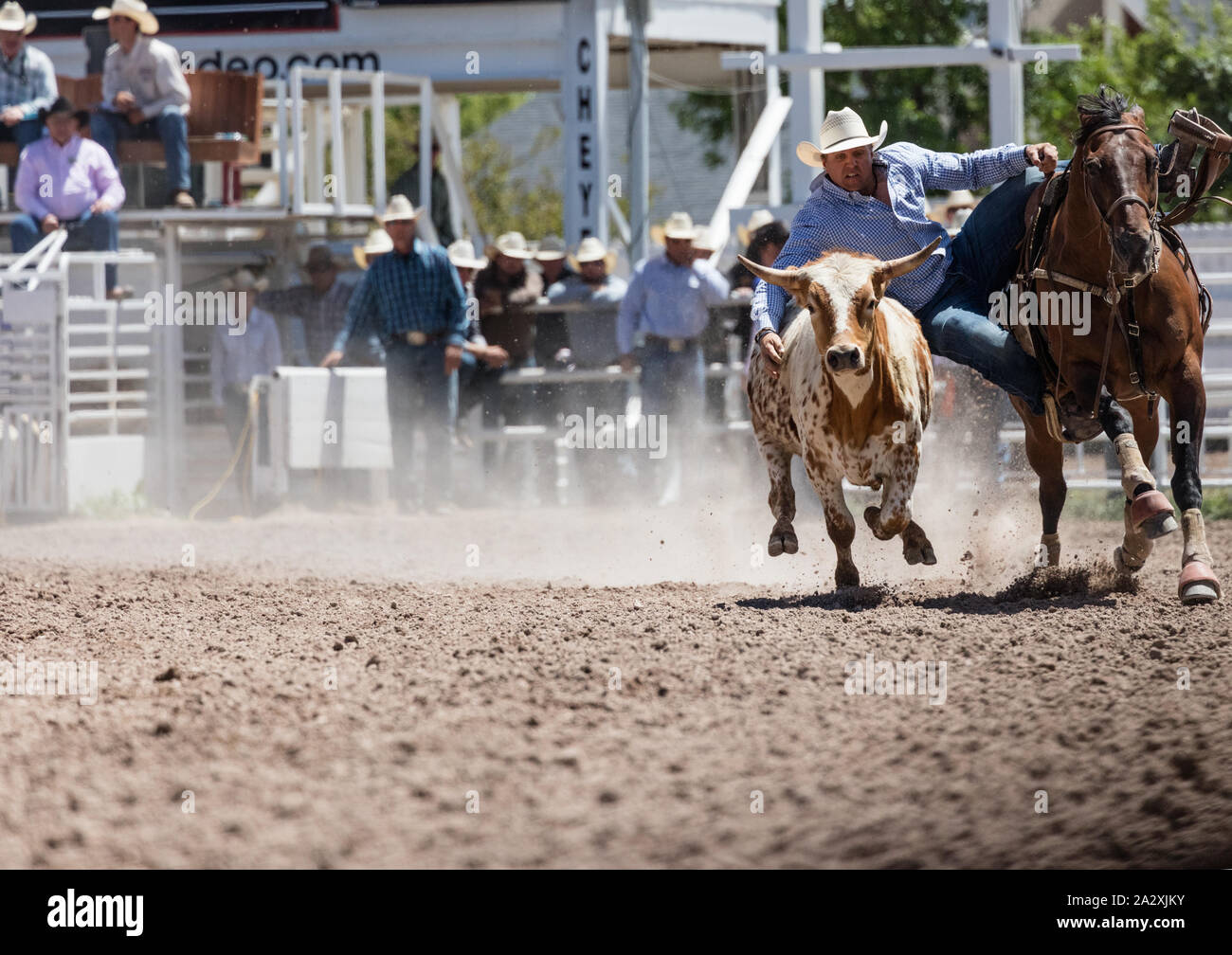 Rodeo action at the Cheyenne Frontier Days celebration in Wyoming's ...