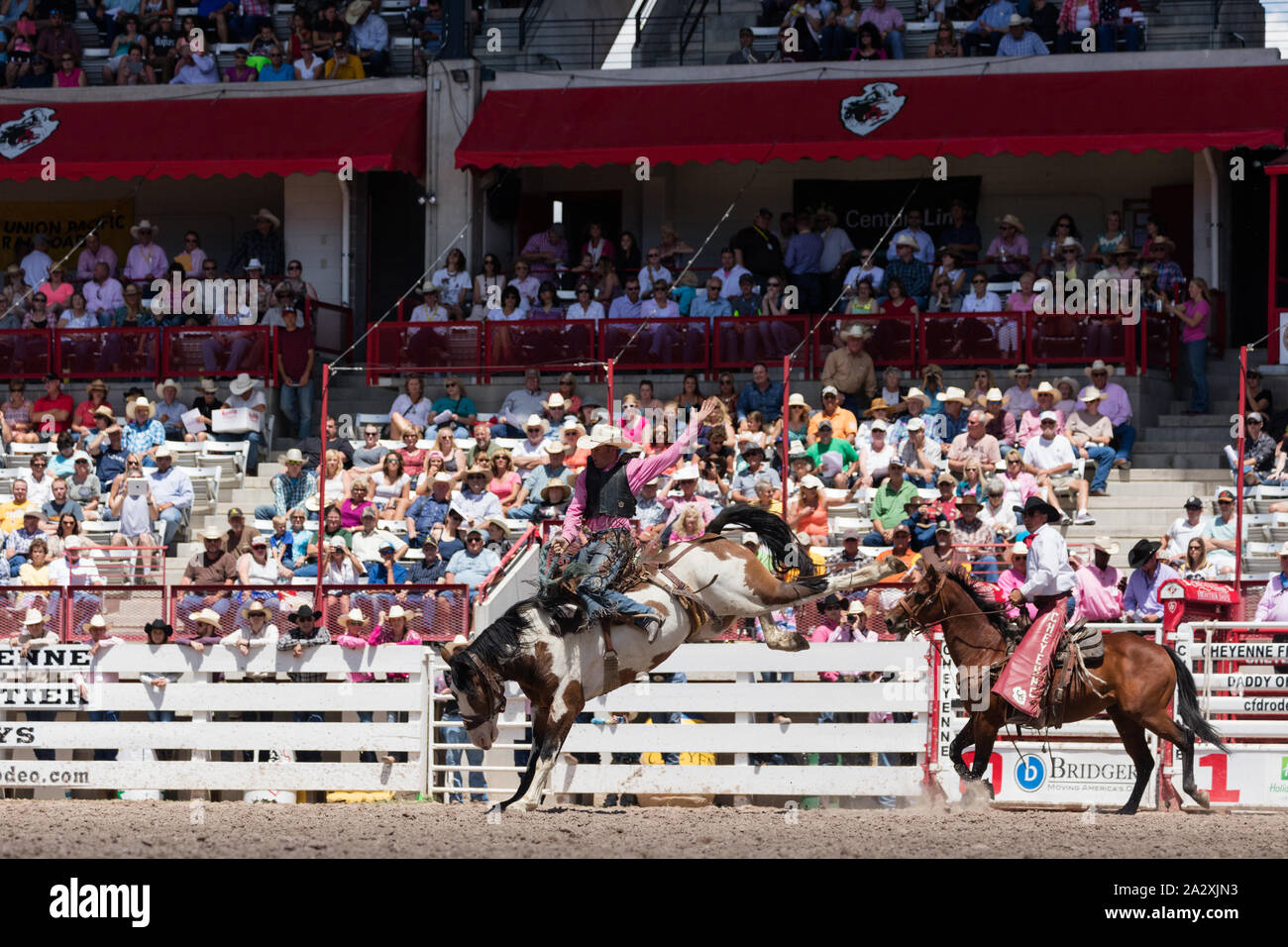 Rodeo action at the Cheyenne Frontier Days celebration in Wyoming's ...