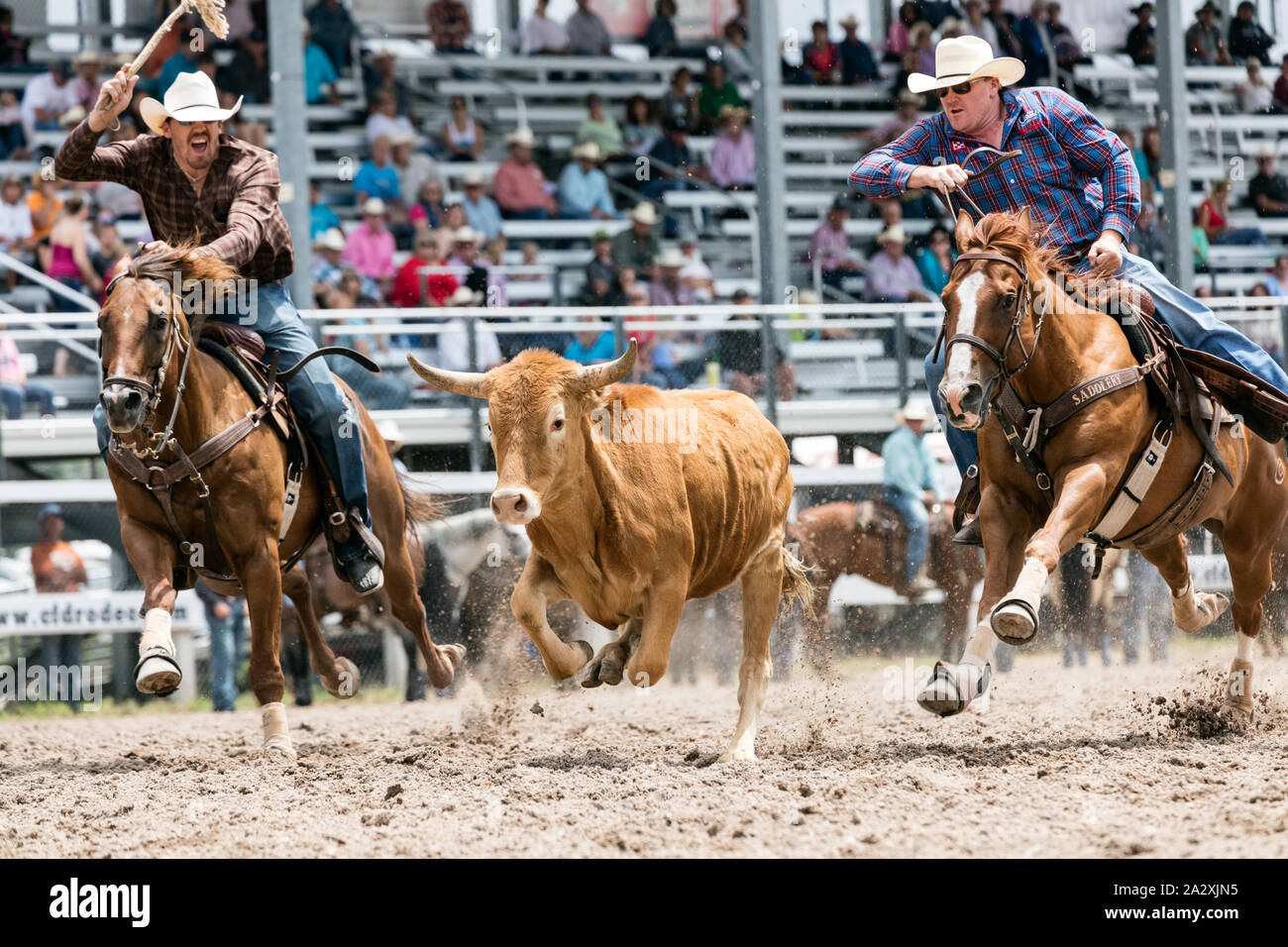 Cheyenne frontier days hi-res stock photography and images - Alamy