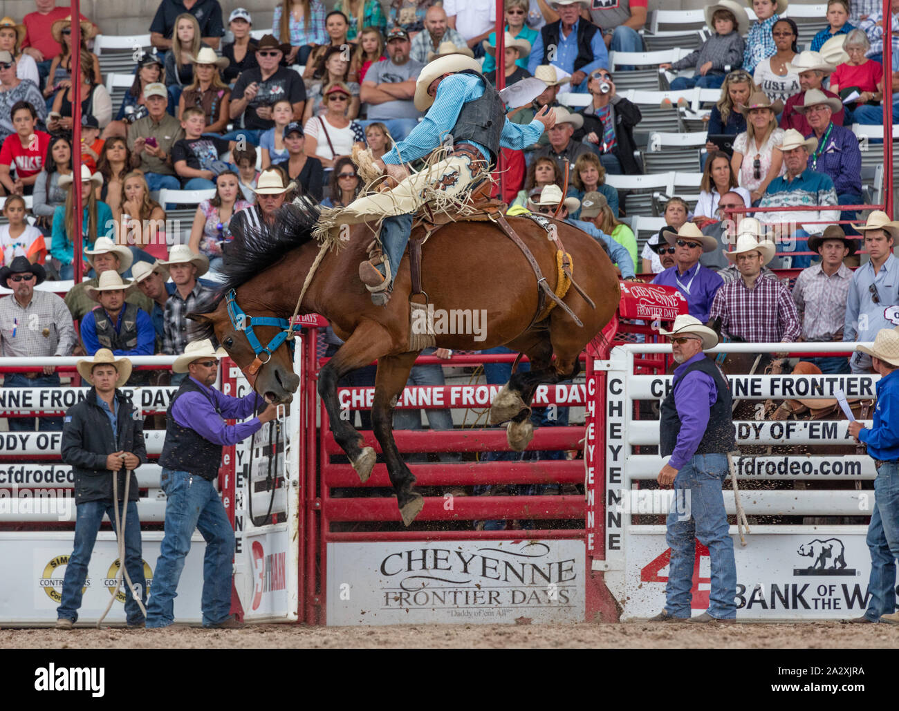 Rodeo action at the Cheyenne Frontier Days, a western celebration and ...