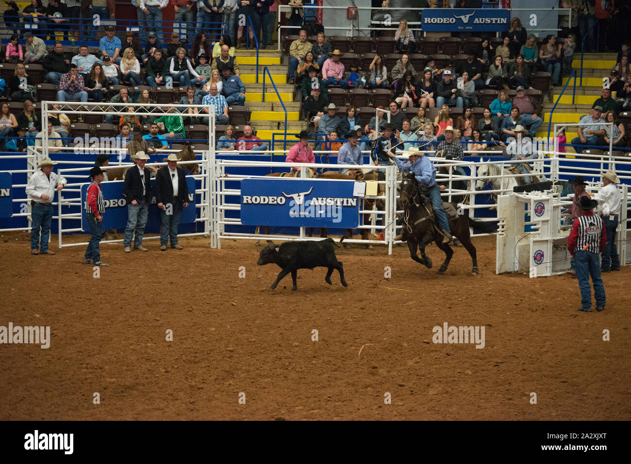 Rodeo competition at the Star of Texas Fair and Rodeo, produced by ...