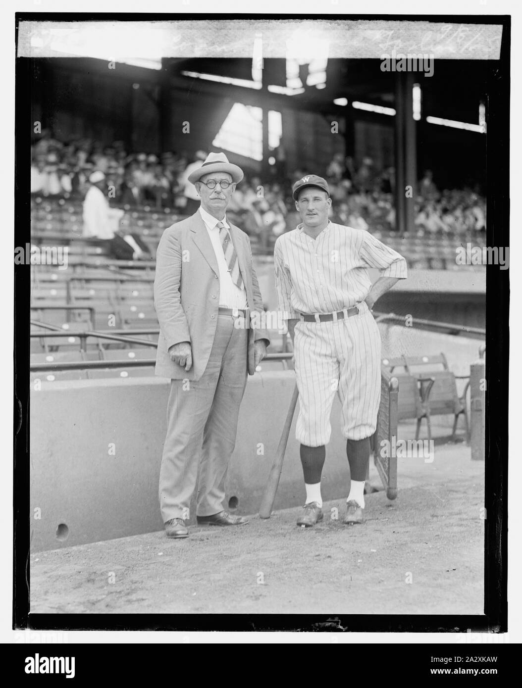 Goose goslin hi-res stock photography and images - Alamy