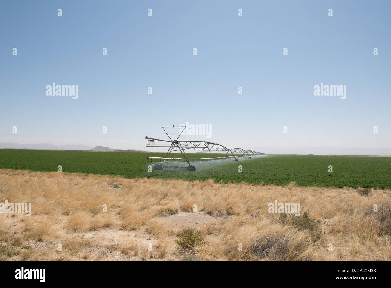 Rolling irrigation sprinkler at work along the road carrying U.S ...