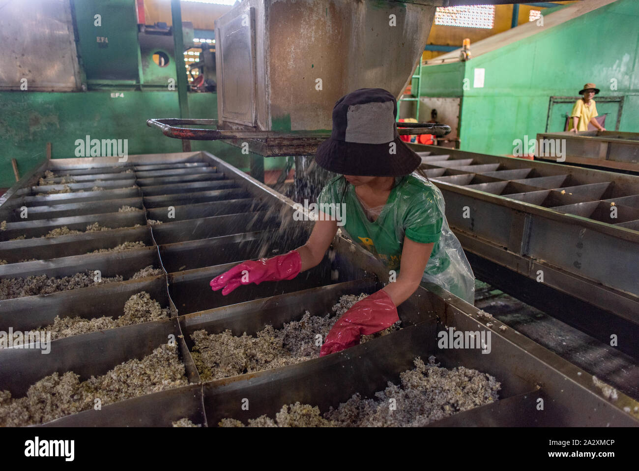 Old factory rubber near Kampong Cham in Cambodia Stock Photo - Alamy