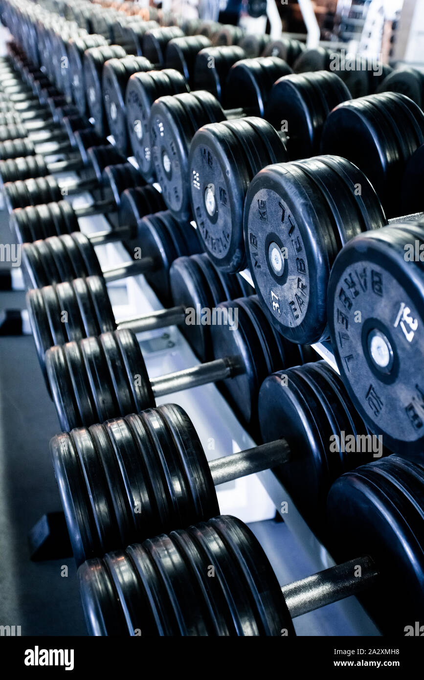 Gym and dumbbell weight training equipment on sport Stock Photo - Alamy