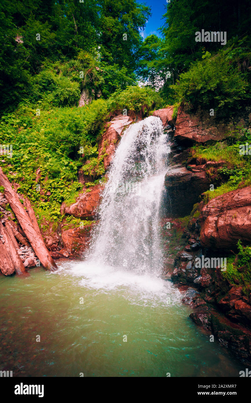 Park of waterfalls Mendeliha. Forest river and waterfall. Sochi. Rosa ...