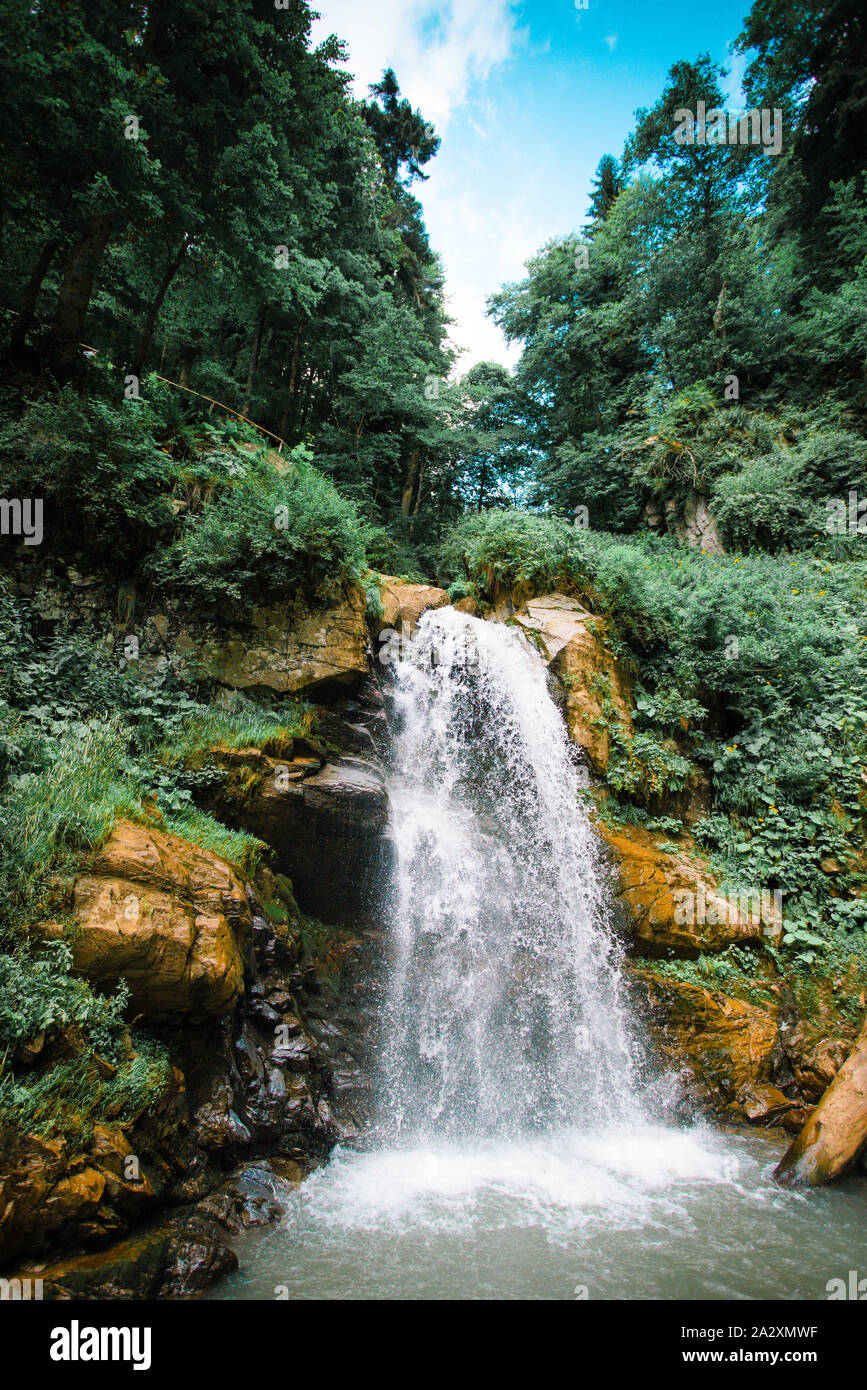 Park of waterfalls Mendeliha. Forest river and waterfall. Sochi. Rosa ...