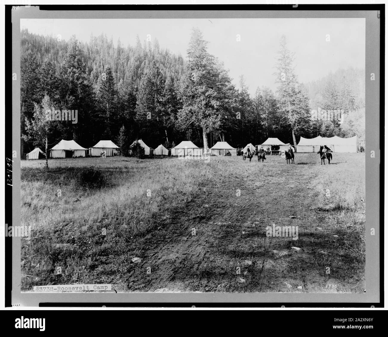 Camp roosevelt Black and White Stock Photos & Images - Alamy