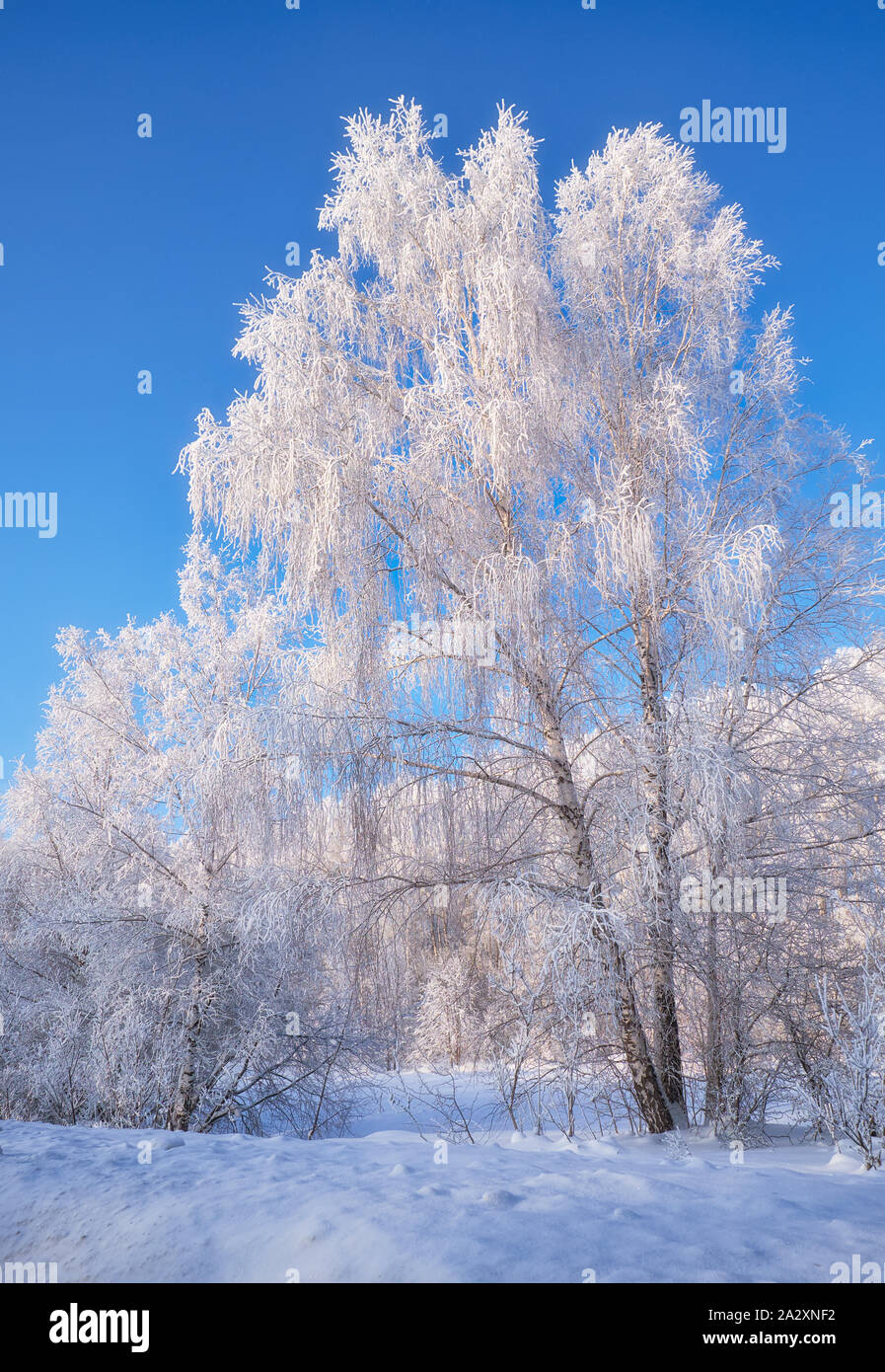 Frost scenery hi-res stock photography and images - Alamy