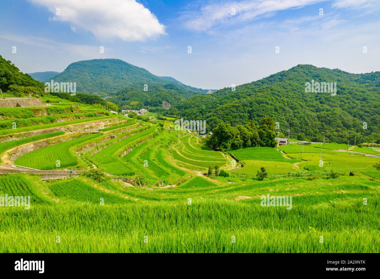Nakayama Senmaida rice paddy fields. Shodoshima Island, Kagawa, Japan ...
