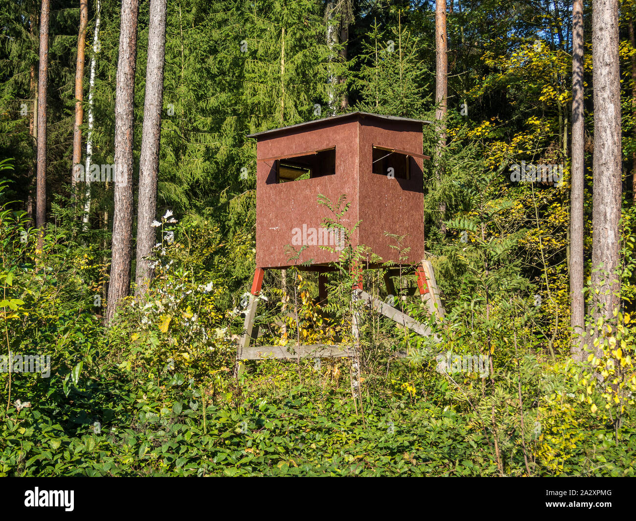 raised hide in the wood Stock Photo - Alamy