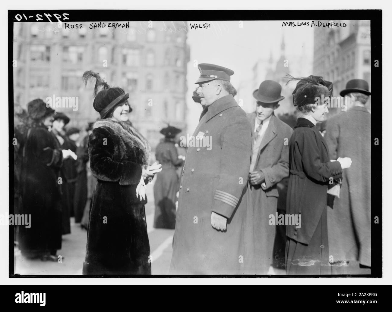 Rose Sanderman - Walsh - Mrs. Louis A. Delafield Stock Photo - Alamy