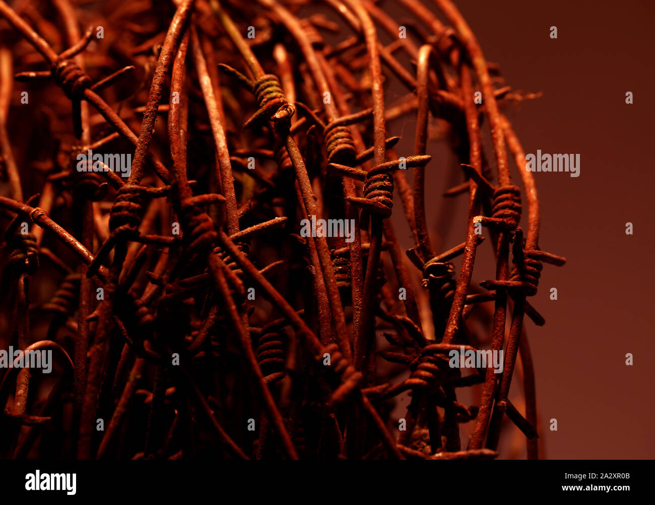 Close up of a twisted barb wire Stock Photo - Alamy