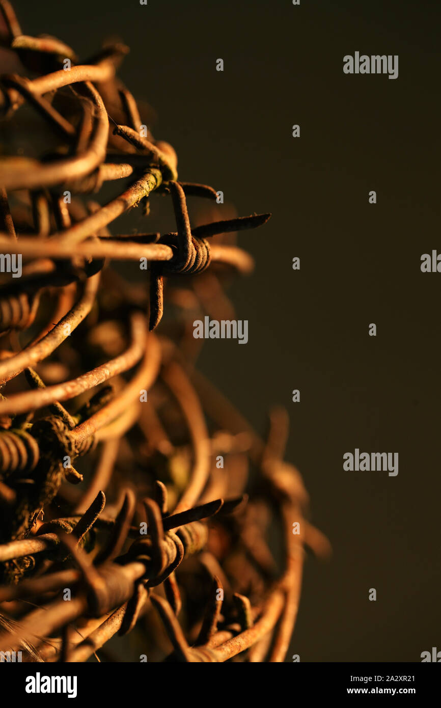 Close up of a twisted barb wire Stock Photo - Alamy