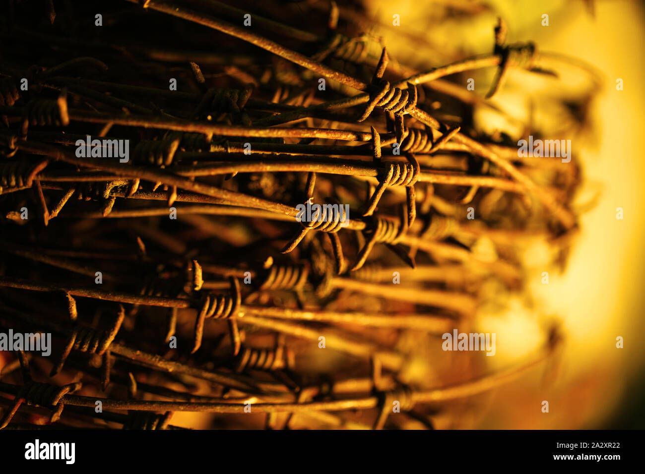Close up of a twisted barb wire Stock Photo - Alamy