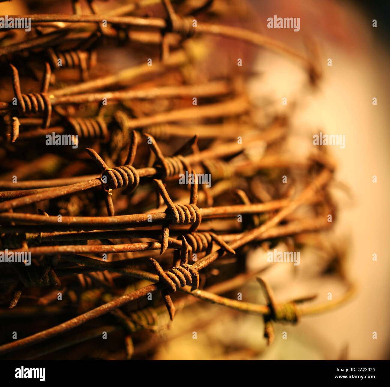 Close up of a twisted barb wire Stock Photo - Alamy