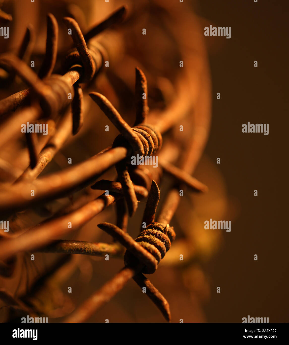 Close up of a twisted barb wire Stock Photo - Alamy