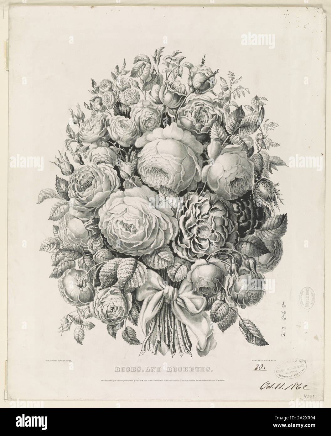 Roses, and rosebuds Stock Photo - Alamy