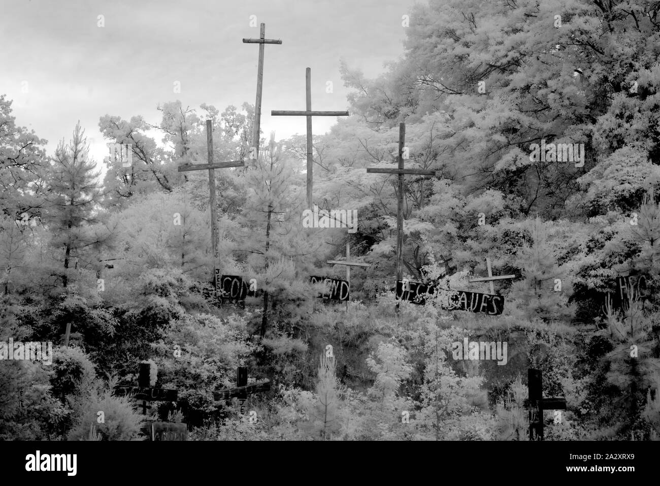Cross garden prattville alabama hi-res stock photography and images - Alamy