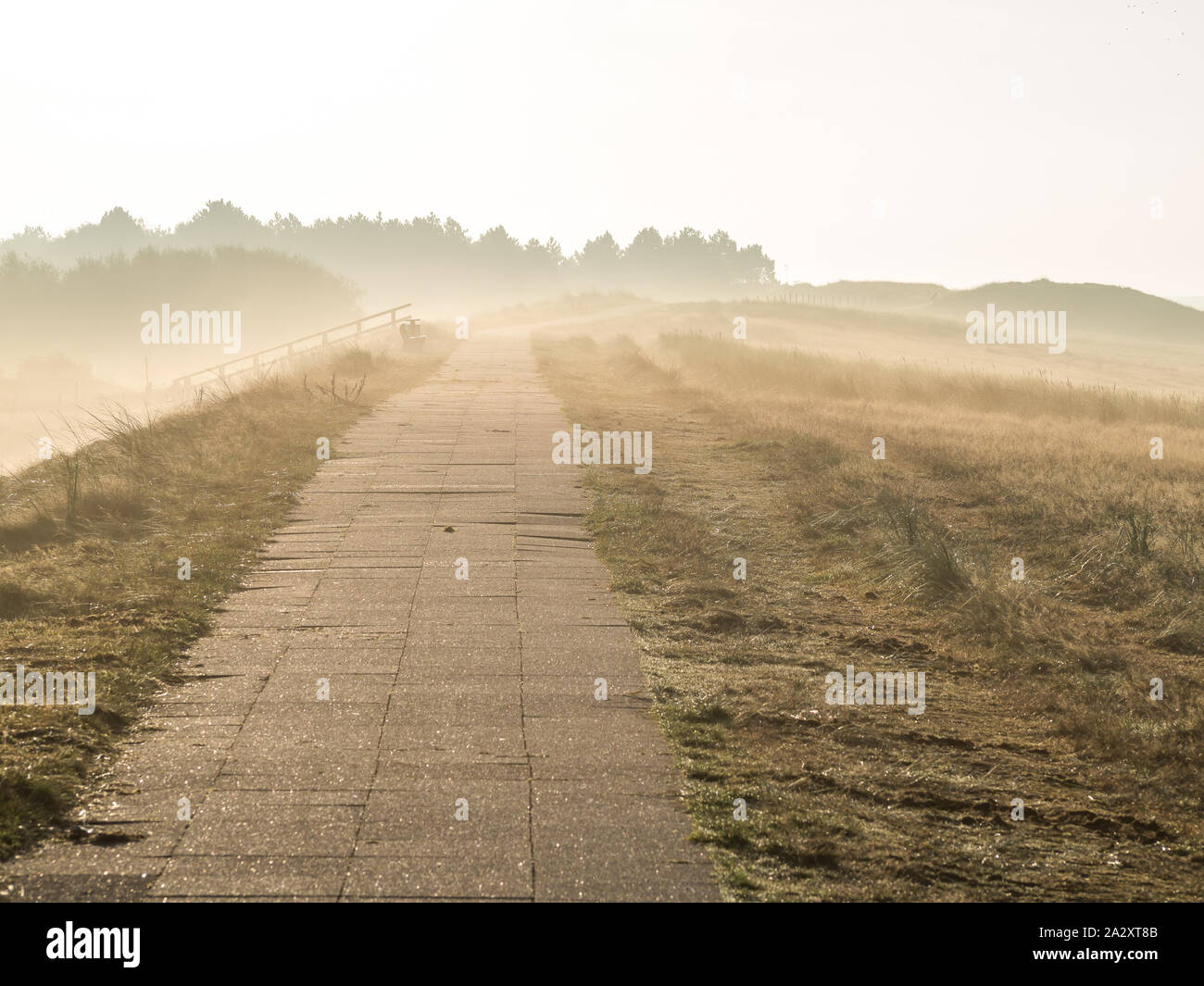 North frisland hi-res stock photography and images - Alamy