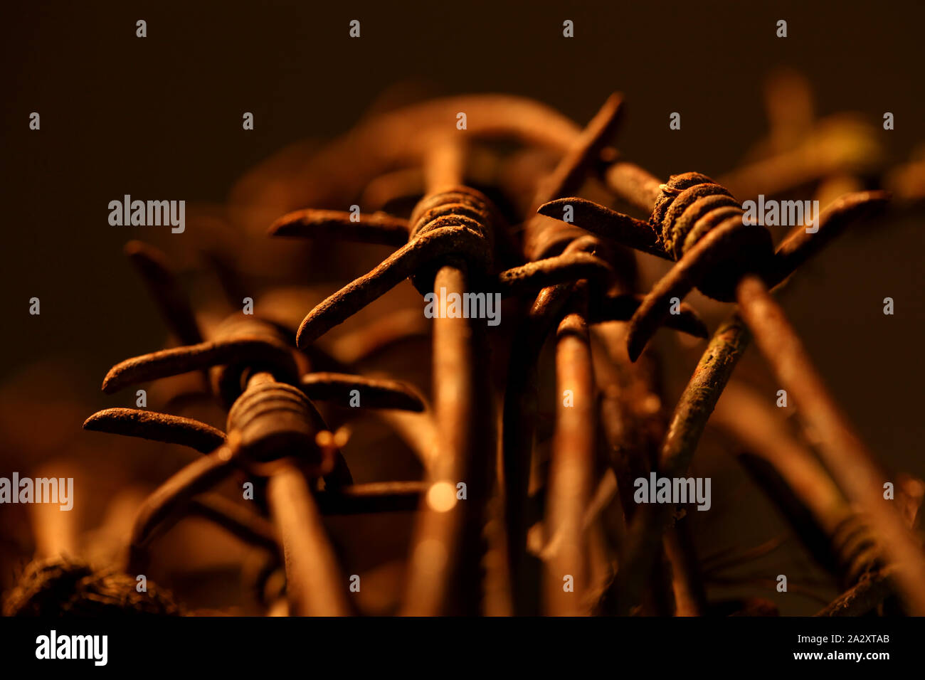 Close up of a twisted barb wire Stock Photo - Alamy