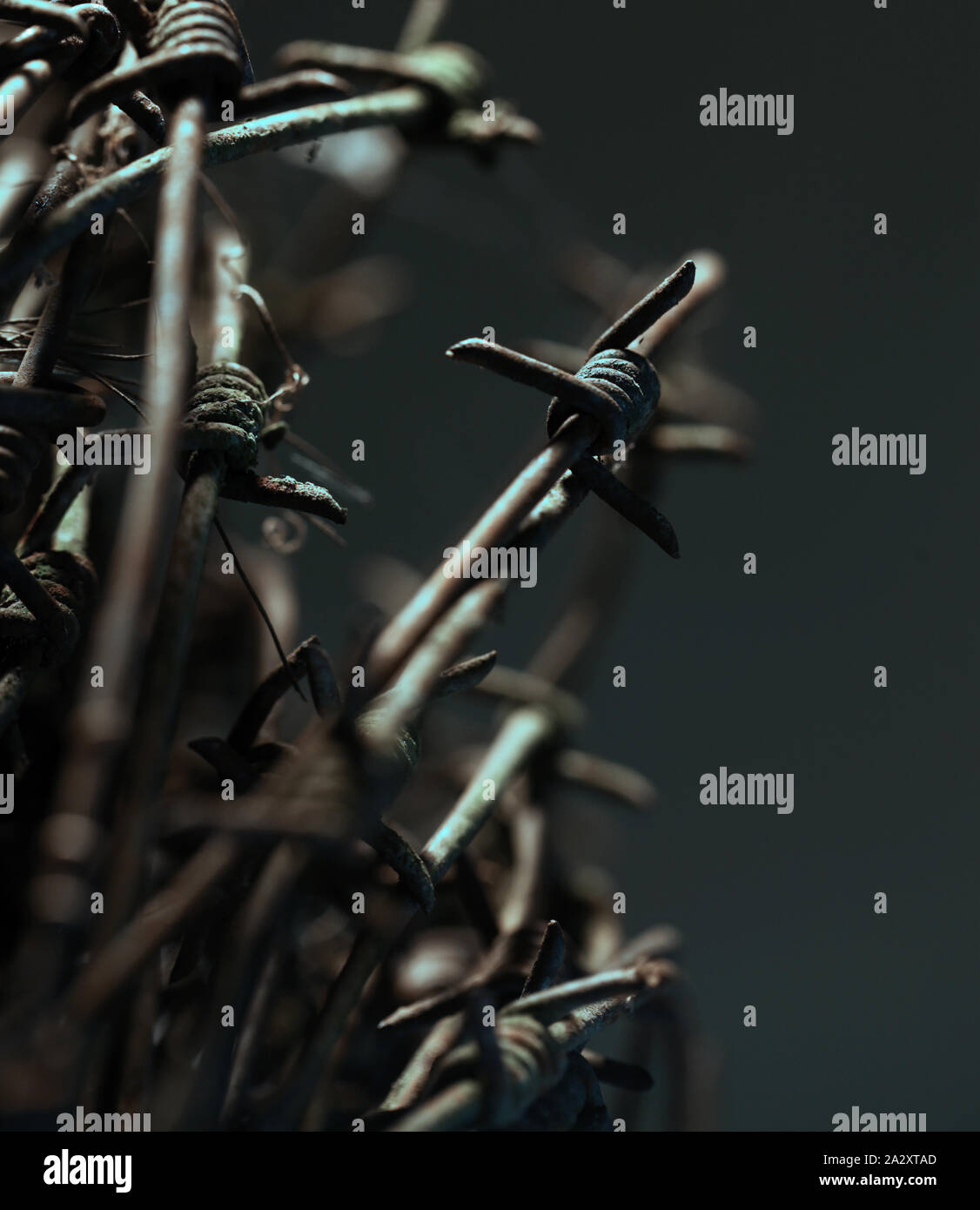 Close up of a twisted barb wire Stock Photo - Alamy