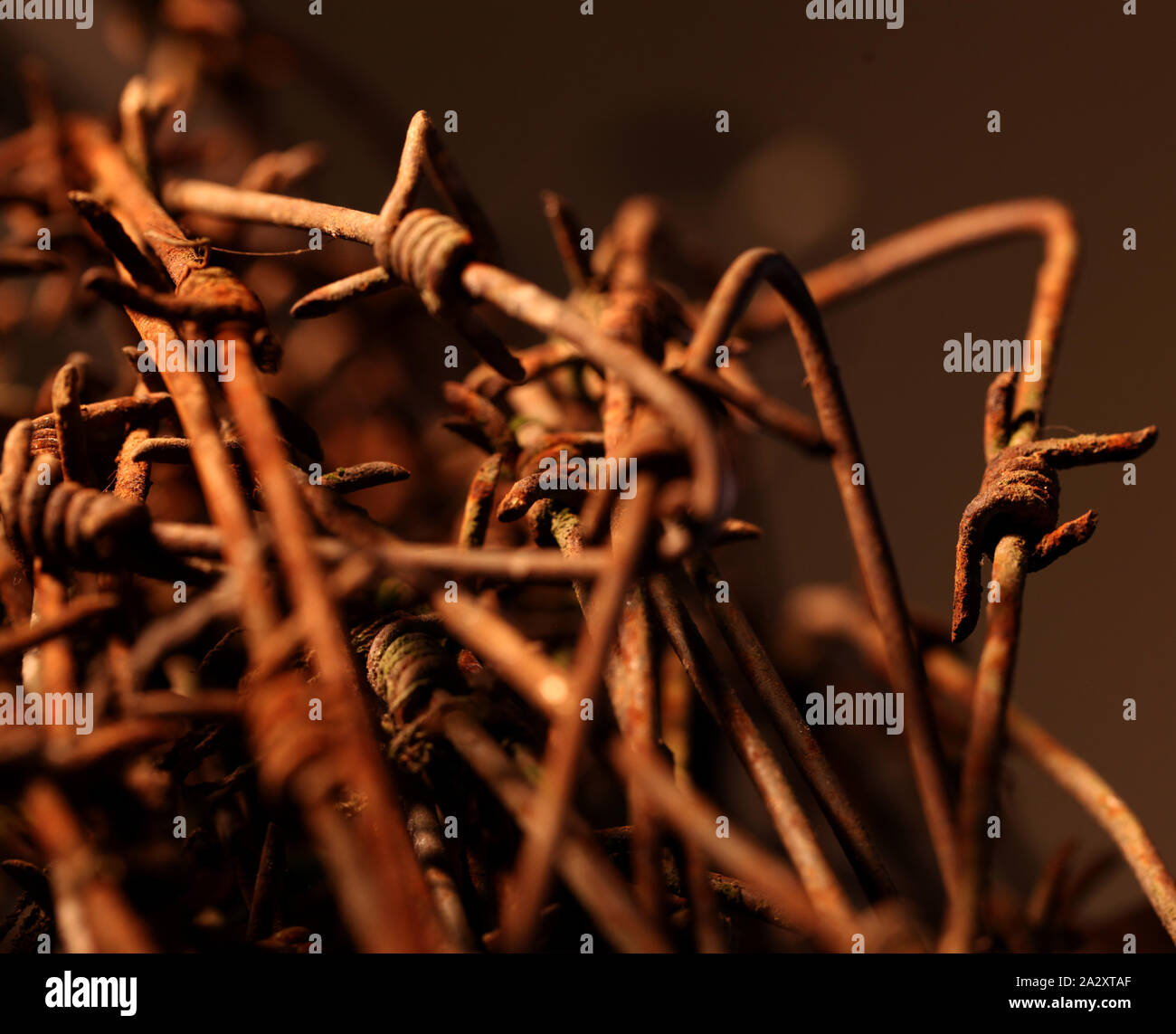 Barb Wire Fence Guarded Border High Resolution Stock Photography and ...